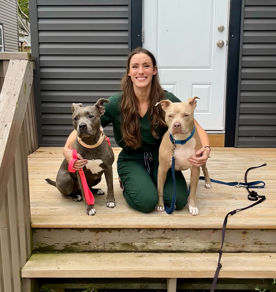 Our Team | Shedden Veterinary Services